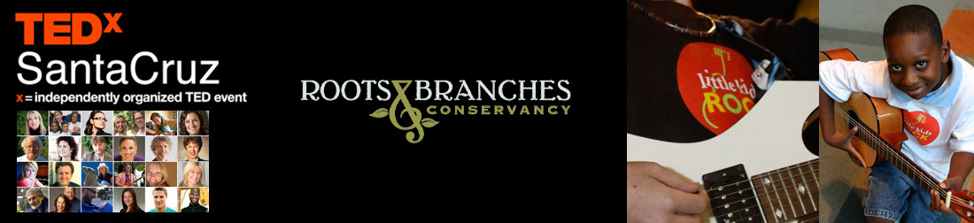 Chime Non Profit Communications - Chime Interactive